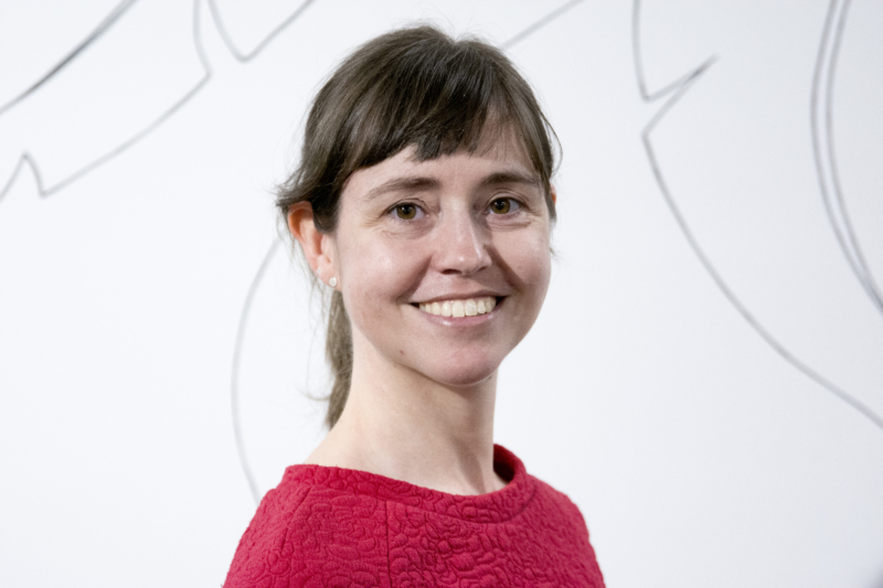 Het BCFI-team – BCFI