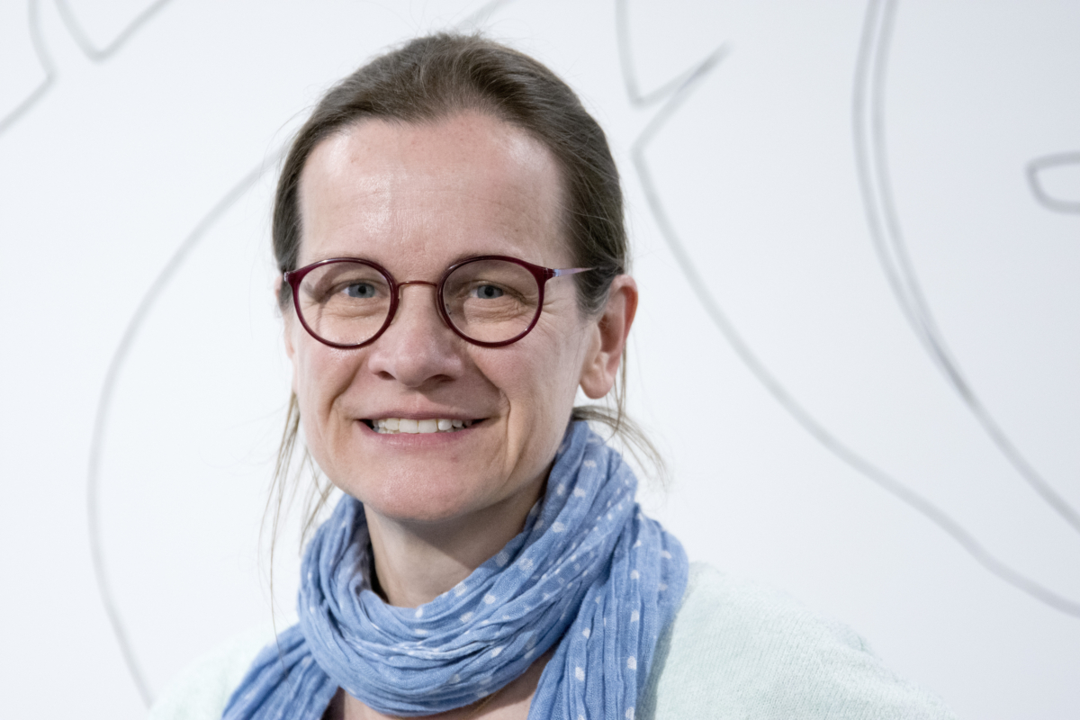 Het BCFI-team – BCFI