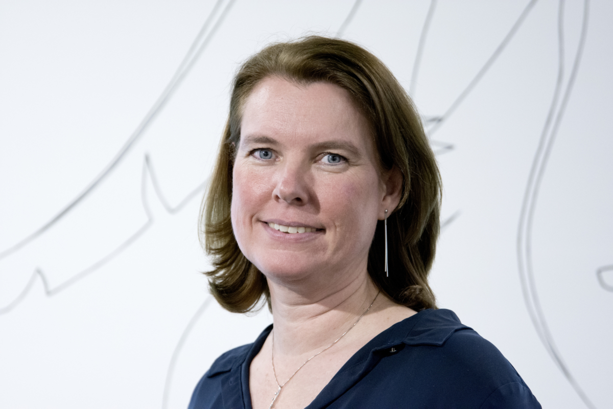 Het BCFI-team – BCFI